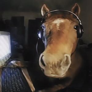 Dopal.org - Forum Dyskusyjne o Używkach i RC